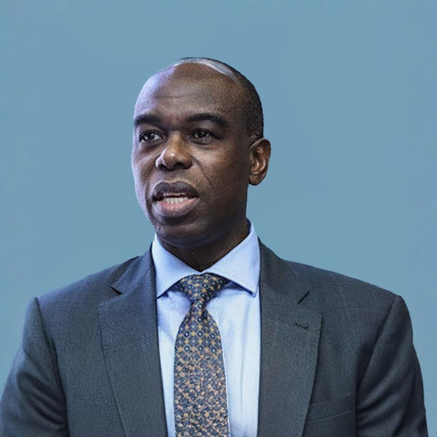 Council For International Economic Understanding - CIEU