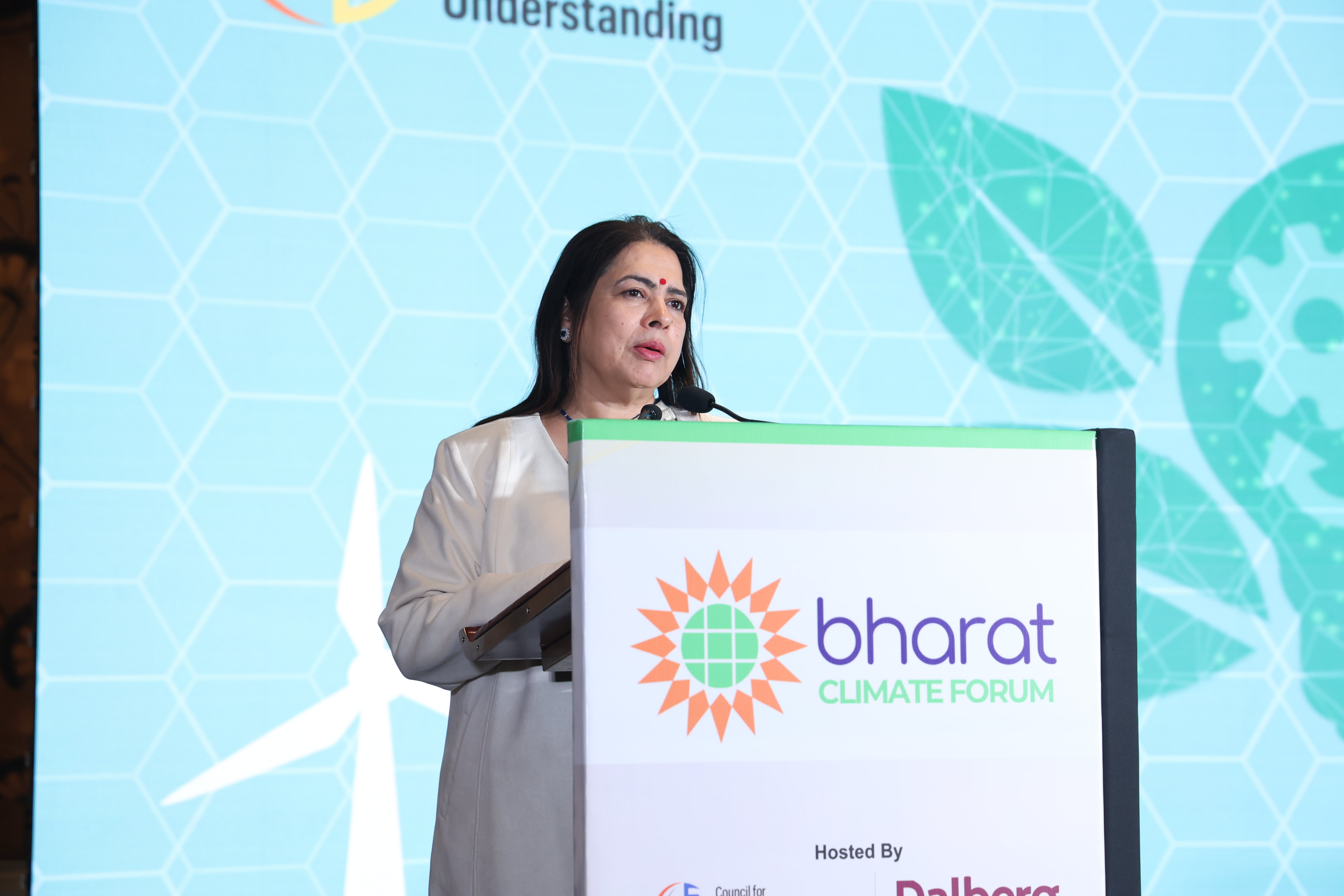 Council For International Economic Understanding - CIEU