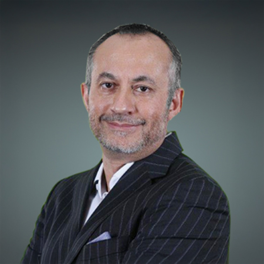 Council For International Economic Understanding - CIEU